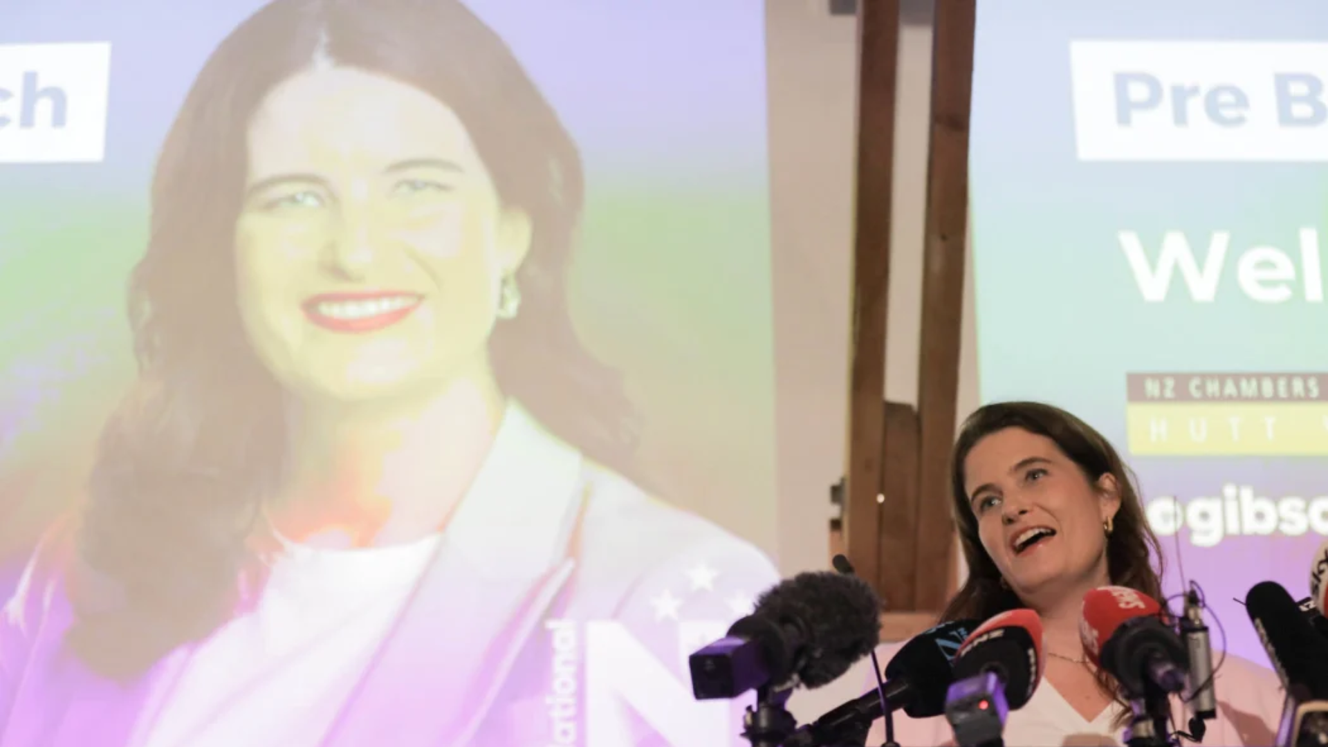 Explainer: Nicola Willis's Pre-Budget Speech: What We Learnt